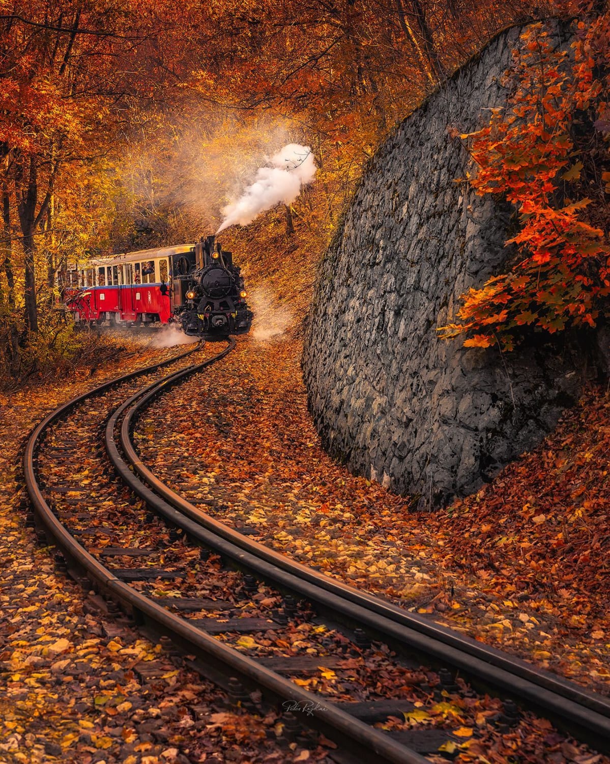 Steam locomotive through the autumn forest, Budapest, Hungary.
