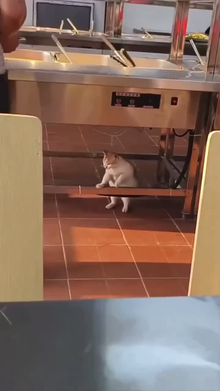 take your favorite position