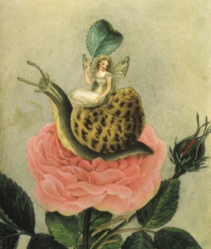 A fairy riding a snail—Victorian artist, Amelia Jane Murray (1800-1896).