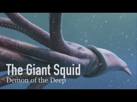 The Giant Squid demonstrates Deep Sea Gigantism, a phenomenon whereby ...