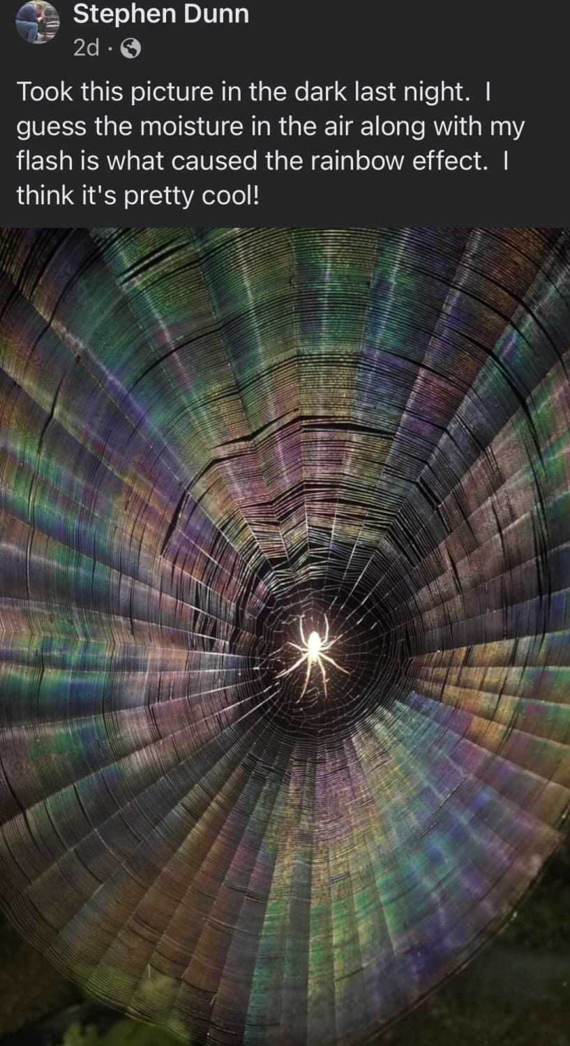 Look alive, sunshine