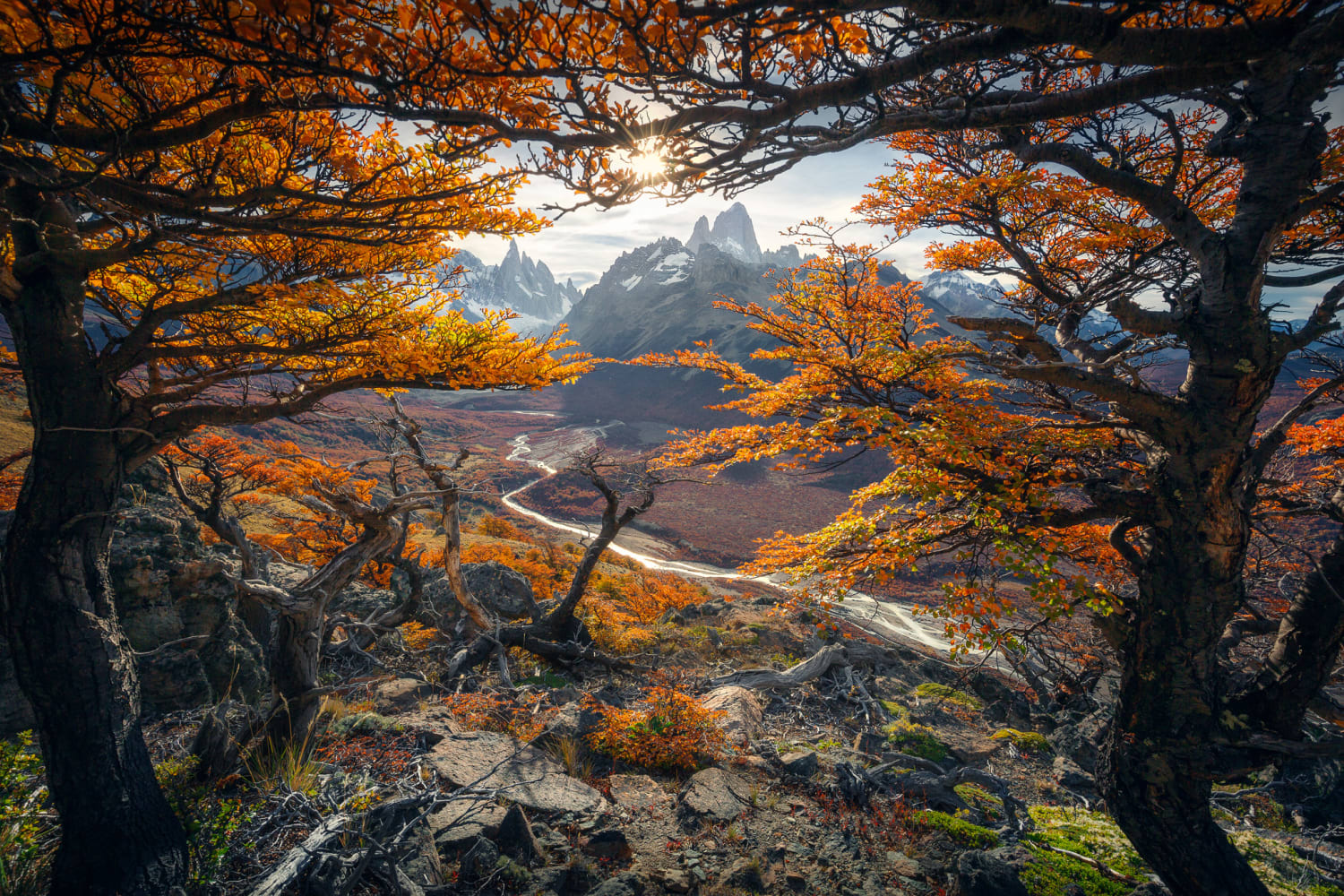 Beautiful autumn colours in Patagonia. @marcograssiphotography