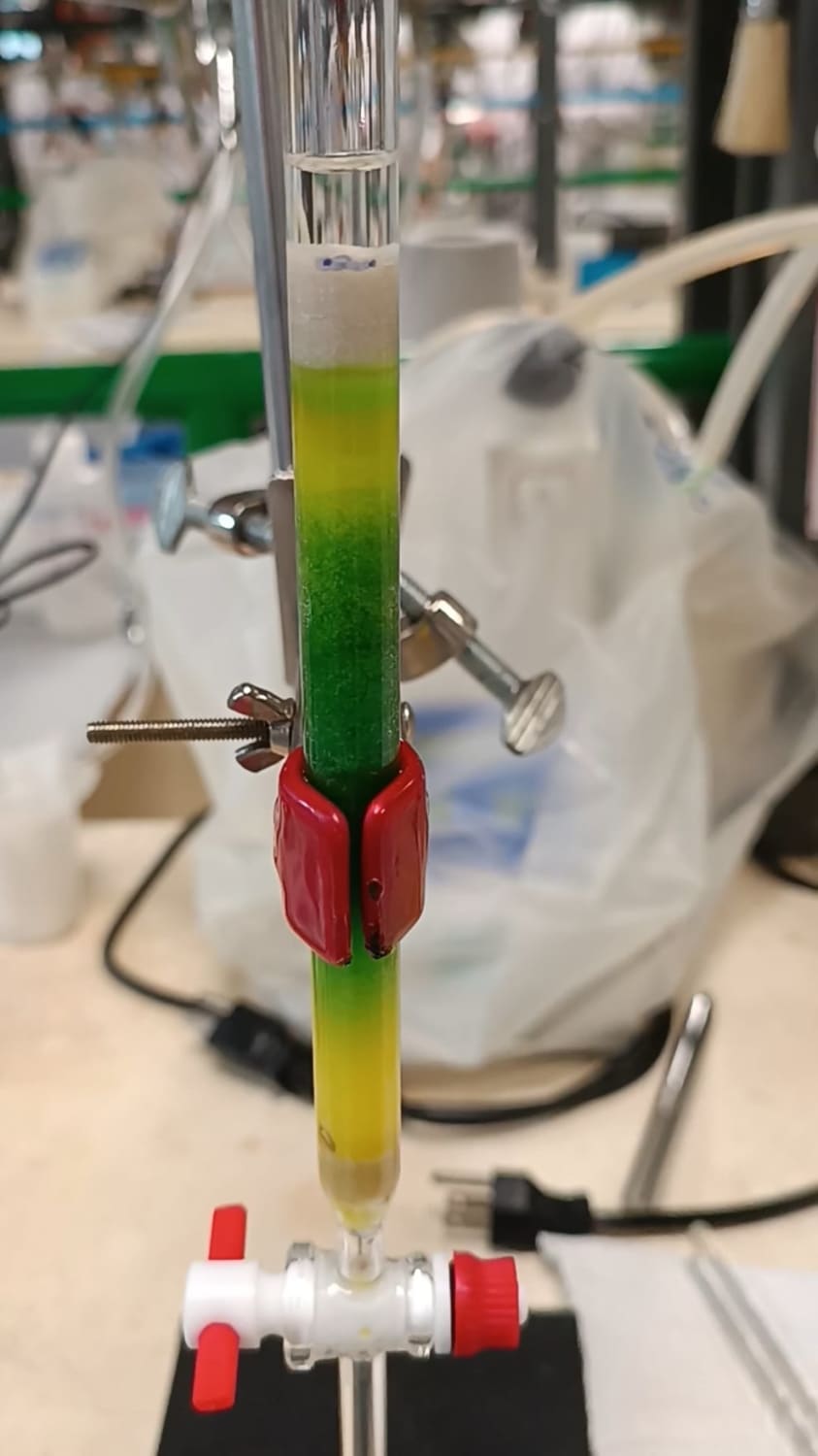 The professor and assistant mentioned that we made a perfect ...