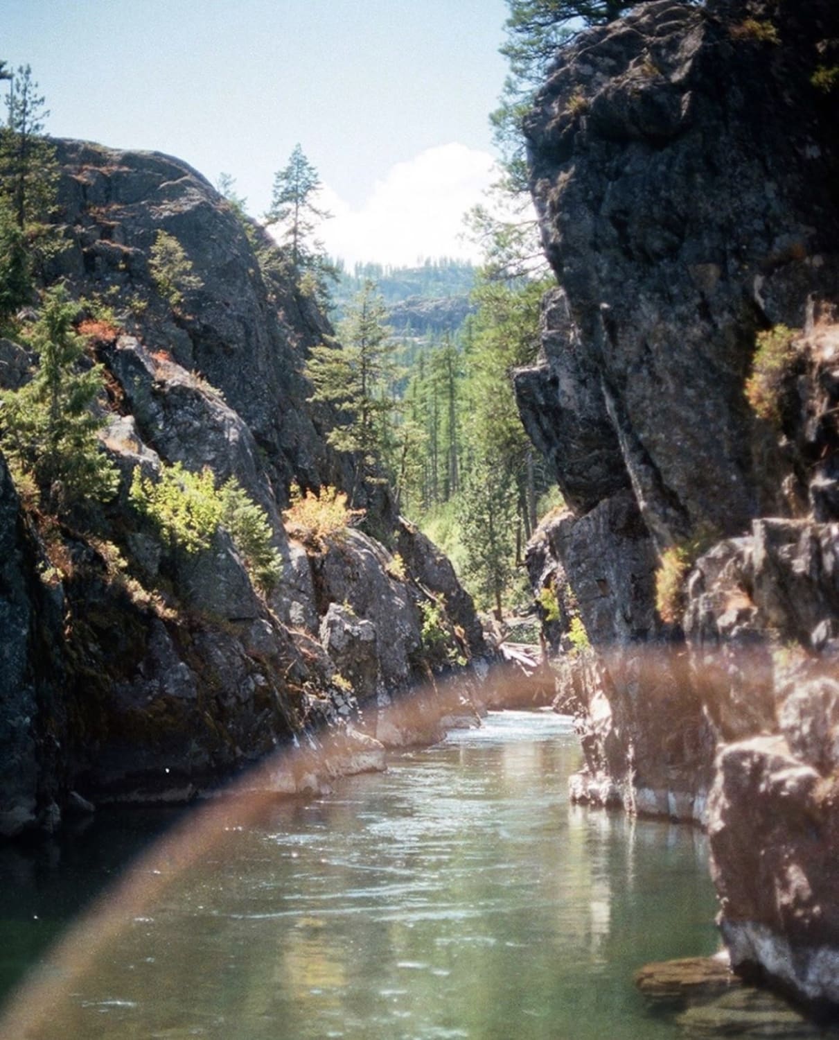 This Old Stomping Ground on Tumblr