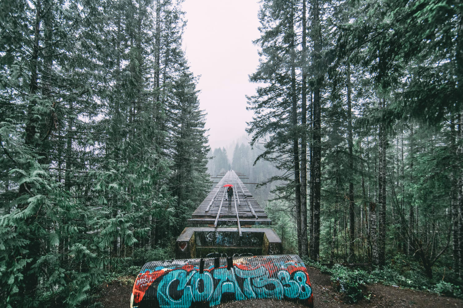 That PNW Bridge