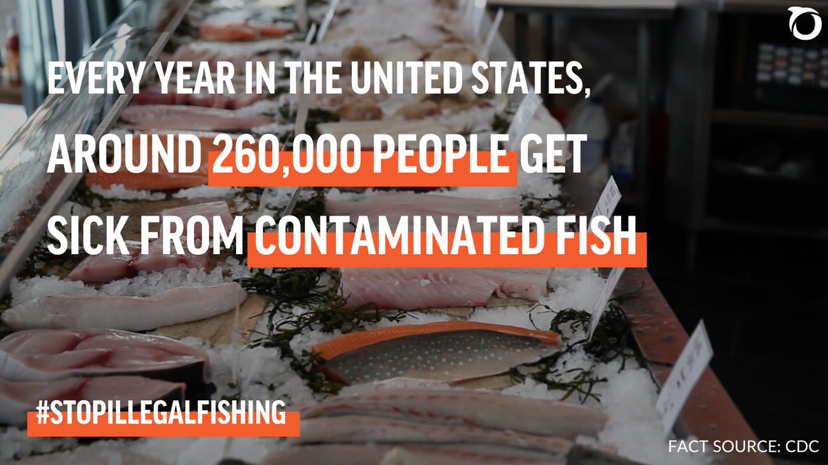 ADD YOUR NAME: Lack of seafood traceability can lead to foodborne ...
