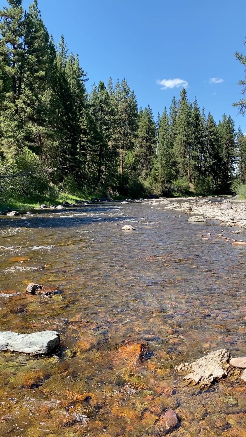 Blackfoot River, Montana