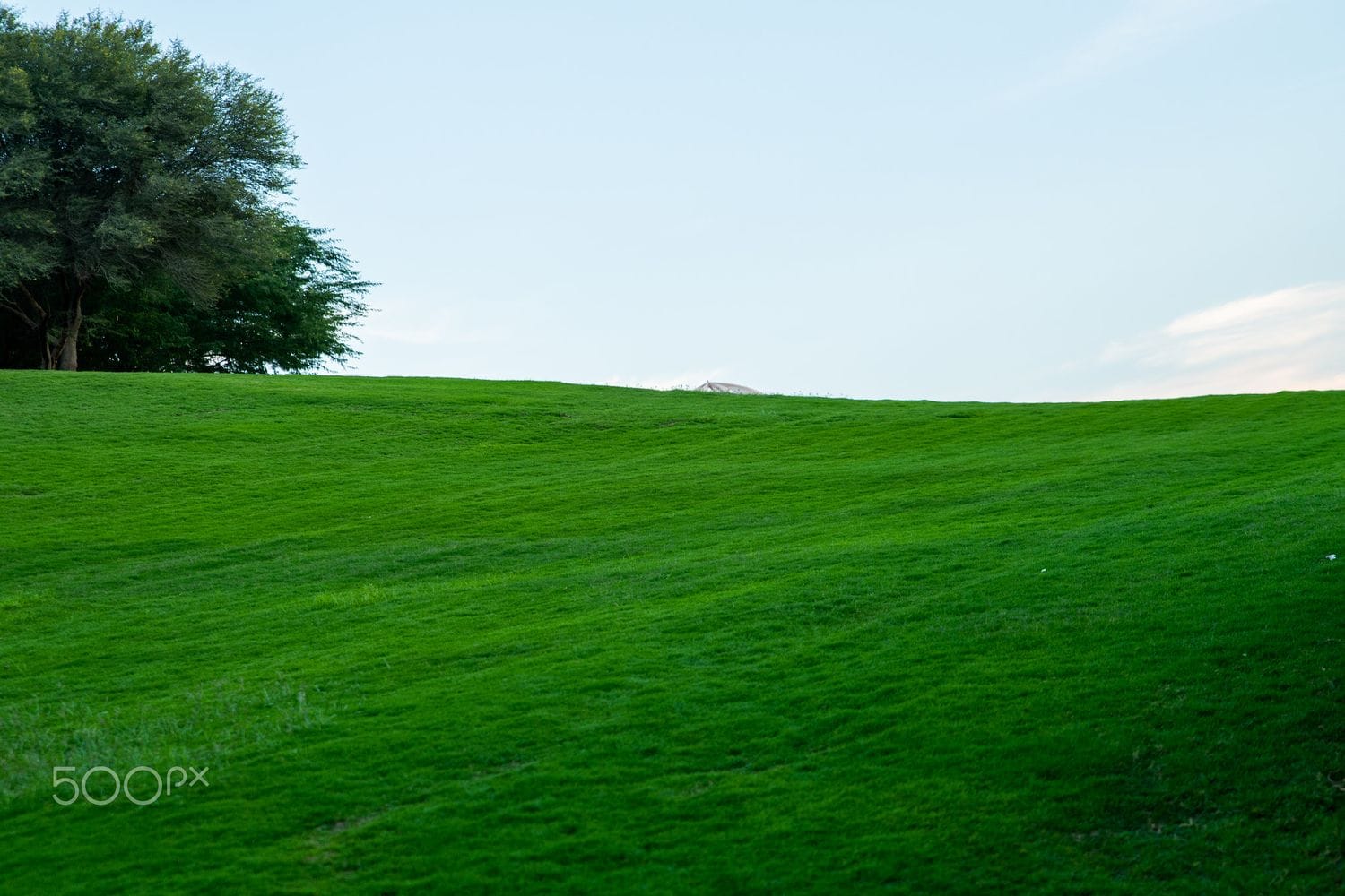 Green landscape in Doha Qatar