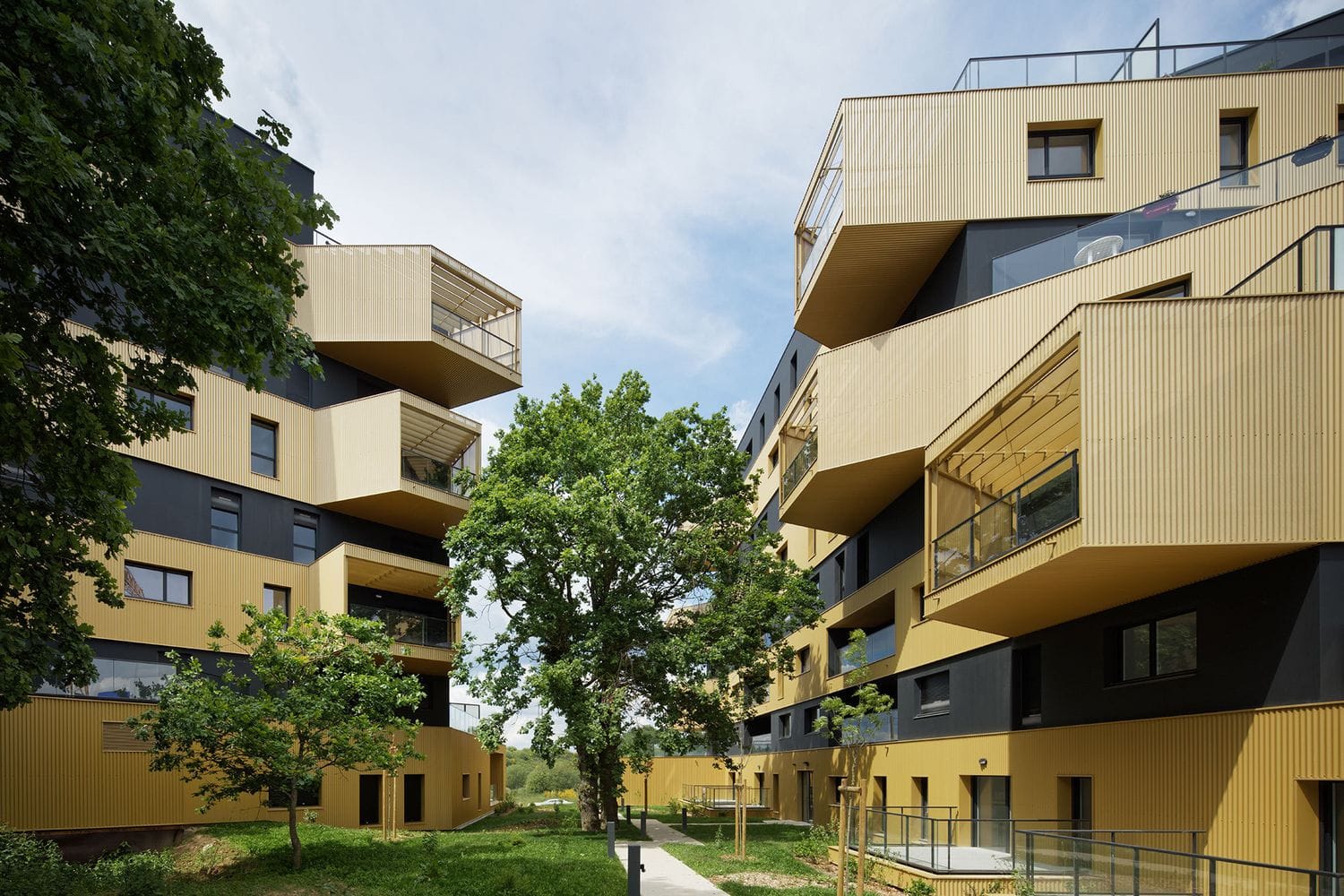 Social Housing: 60 Examples in Plan and Section