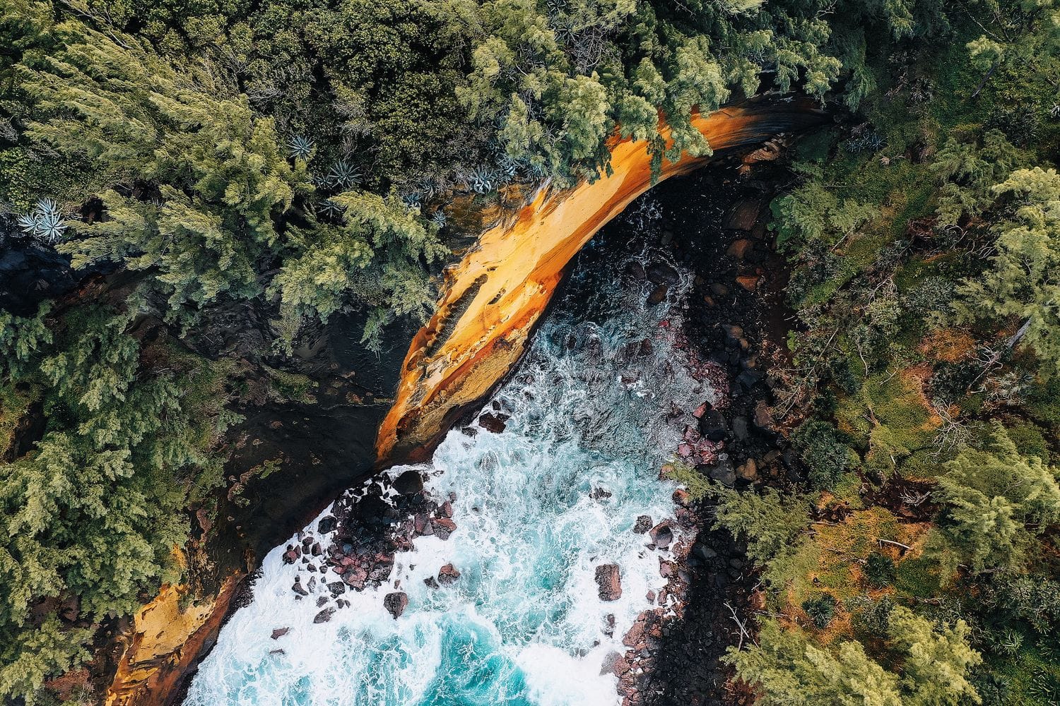 Cap Jaune, Vincendo, Réunion