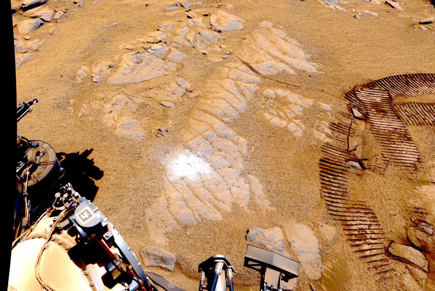 👀 wonder what this Martian robot has been sniffingCaptured today by the ...