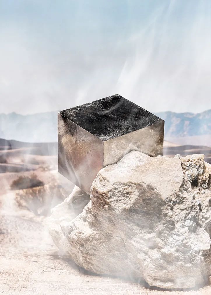 Pin by Agustina Perelló on grif zaha | I like birds, Photographer, Its ...