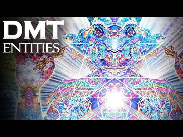 Unsolved Mystery of DMT "Entity Encounters" (video)