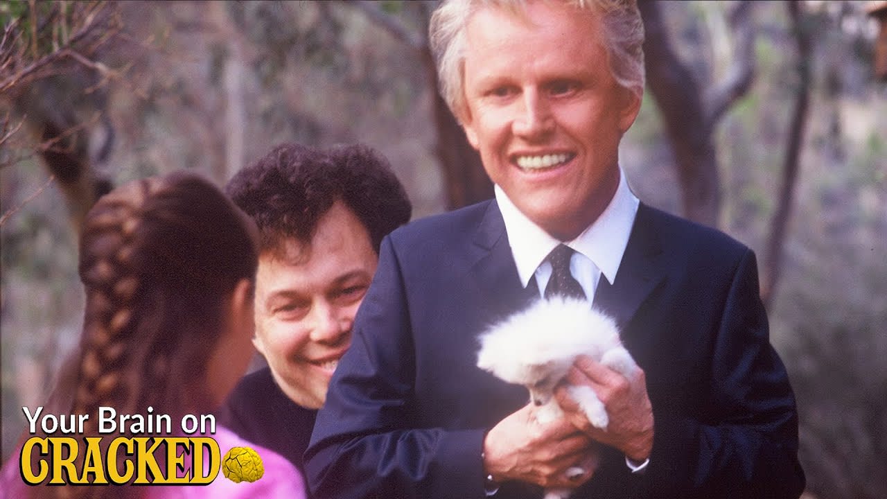 The Christian Movie Starring Gary Busey As A Pomeranian | YBOC