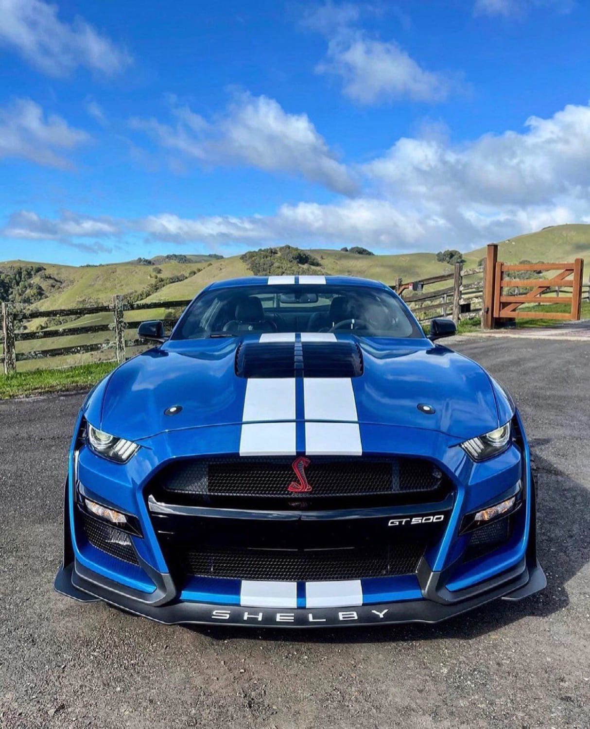 The Extreme Beauty of the Front of a Ford Mustang Shelby GT500