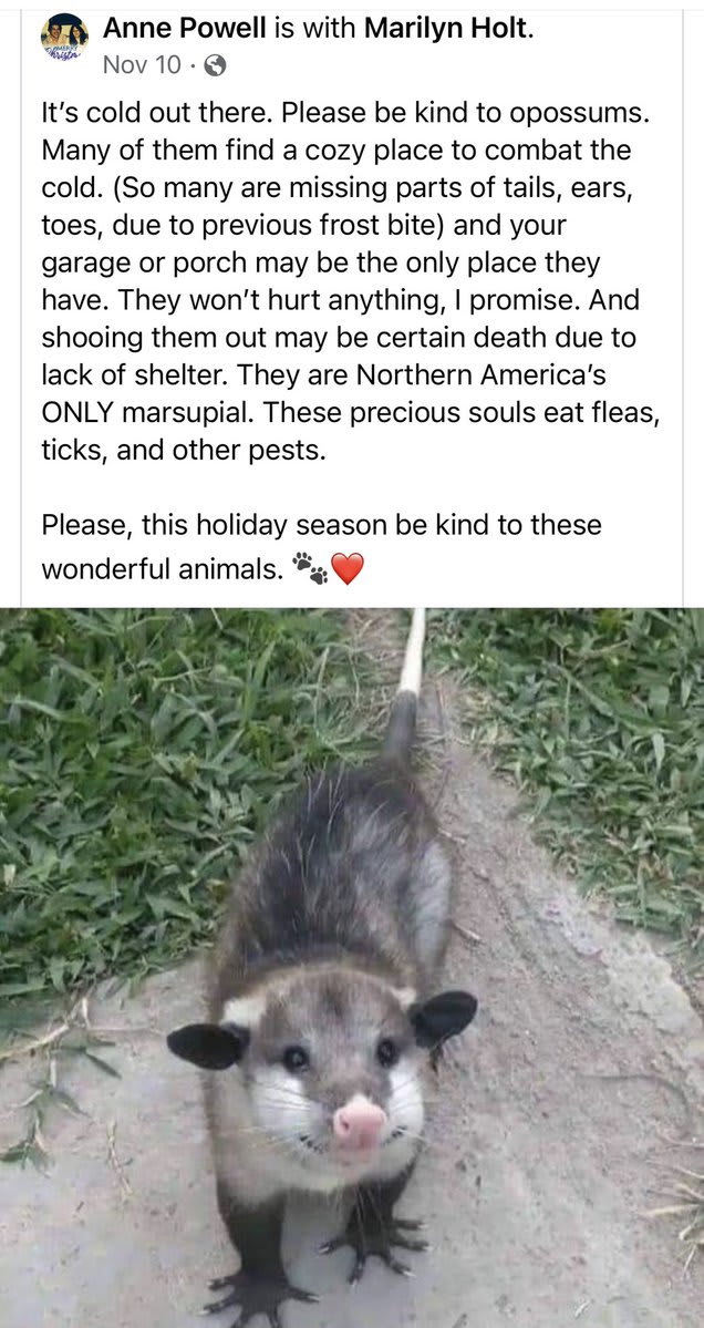 This is so interesting