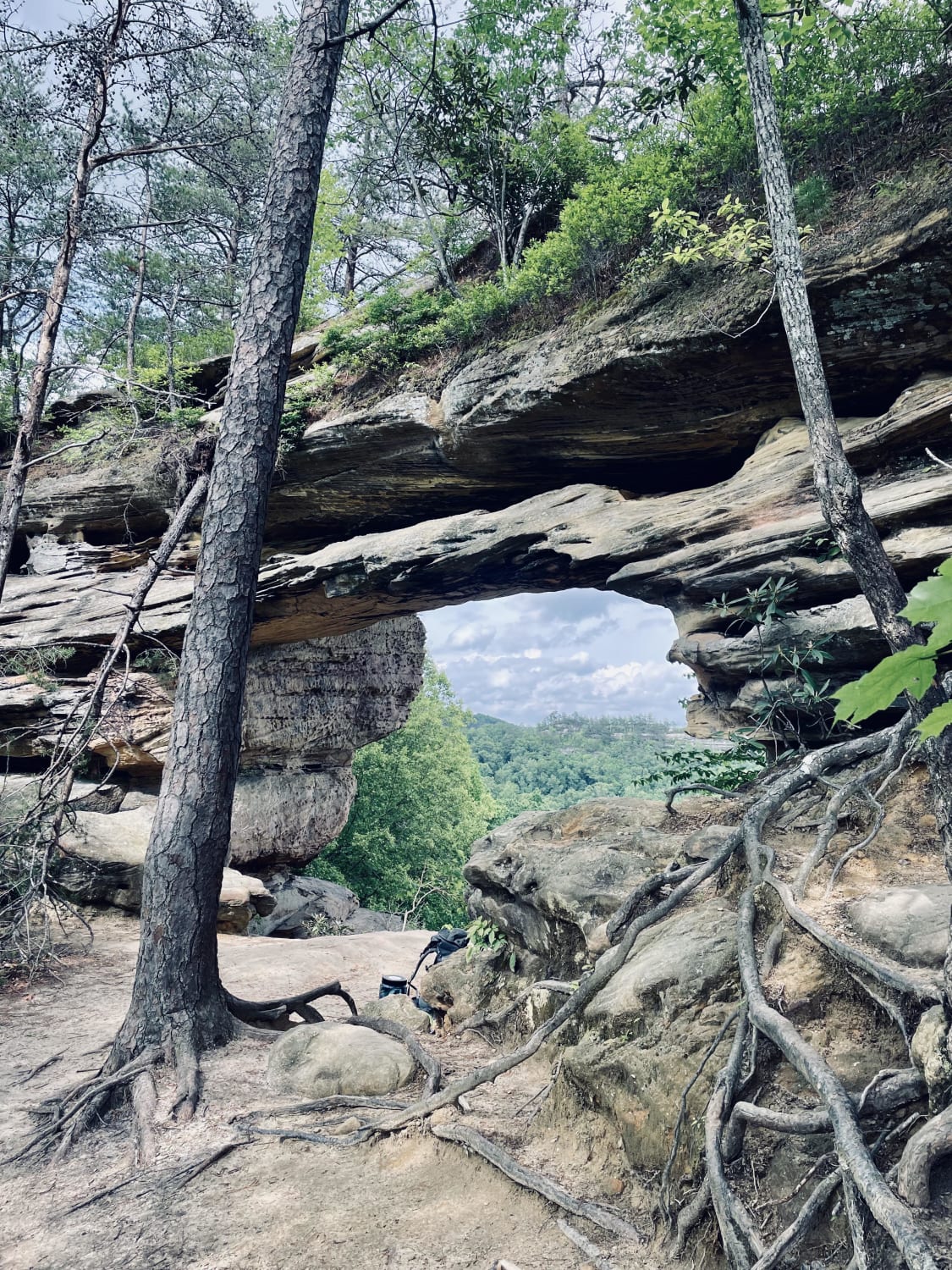 Red River Gorge - KY