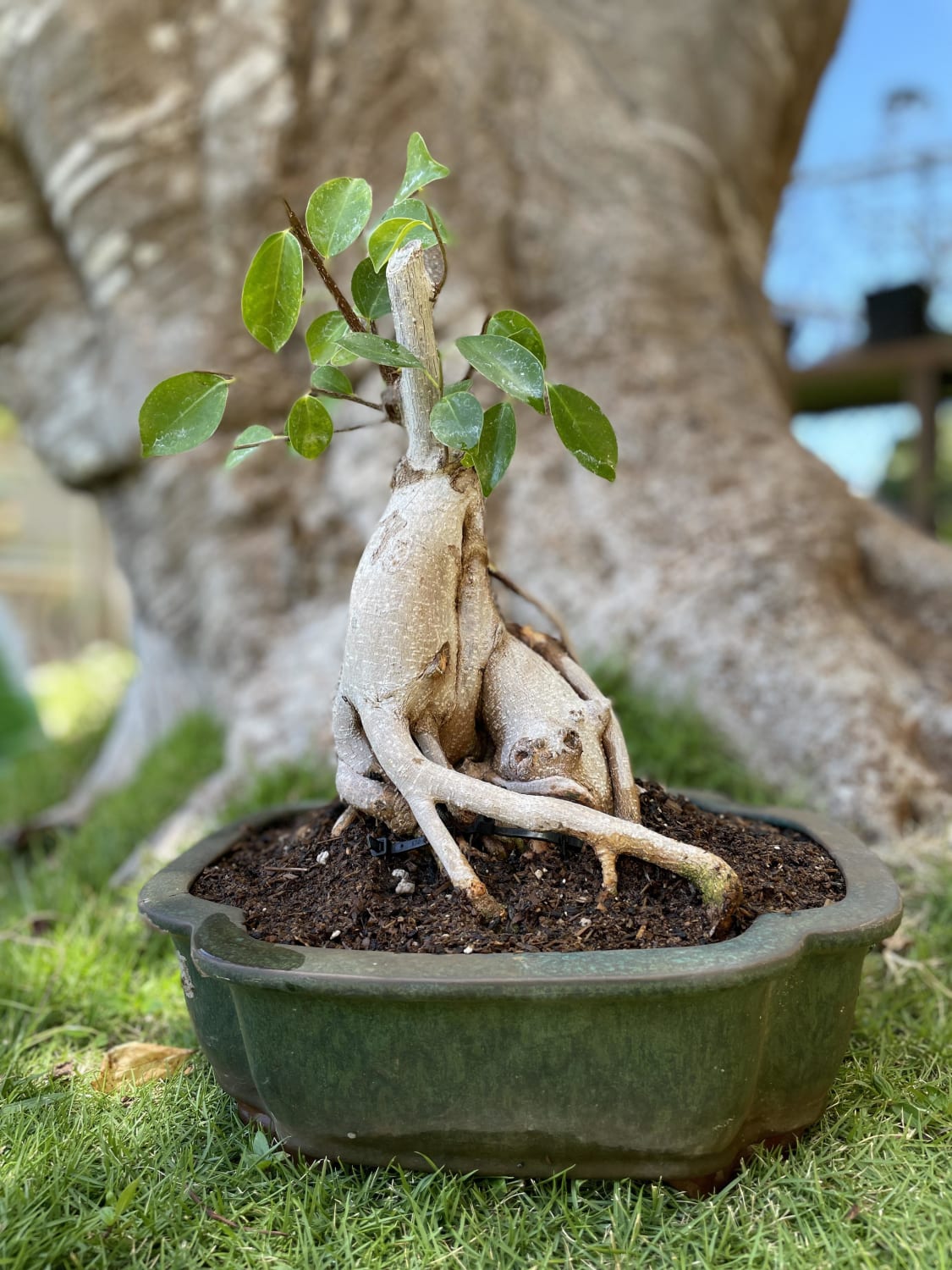 Back to basics... use what you’ve got. Helping my sister bring this old ...