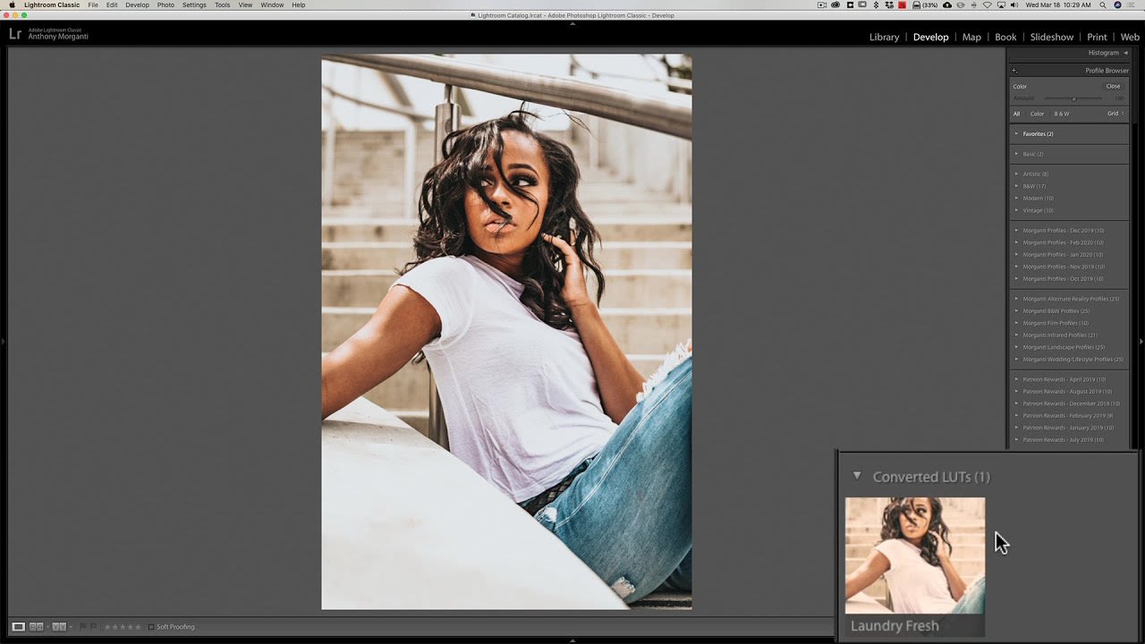 How to Convert a LUT Into a PROFILE for use in LIGHTROOM