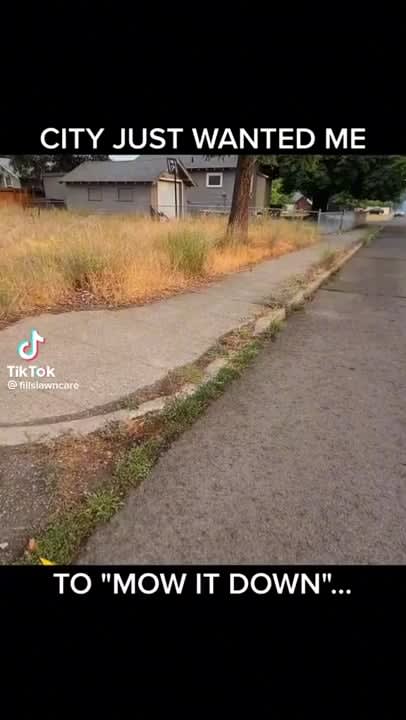 Cleaning up an empty lot