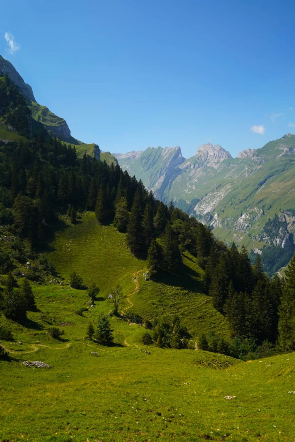 Summer in Switzerland