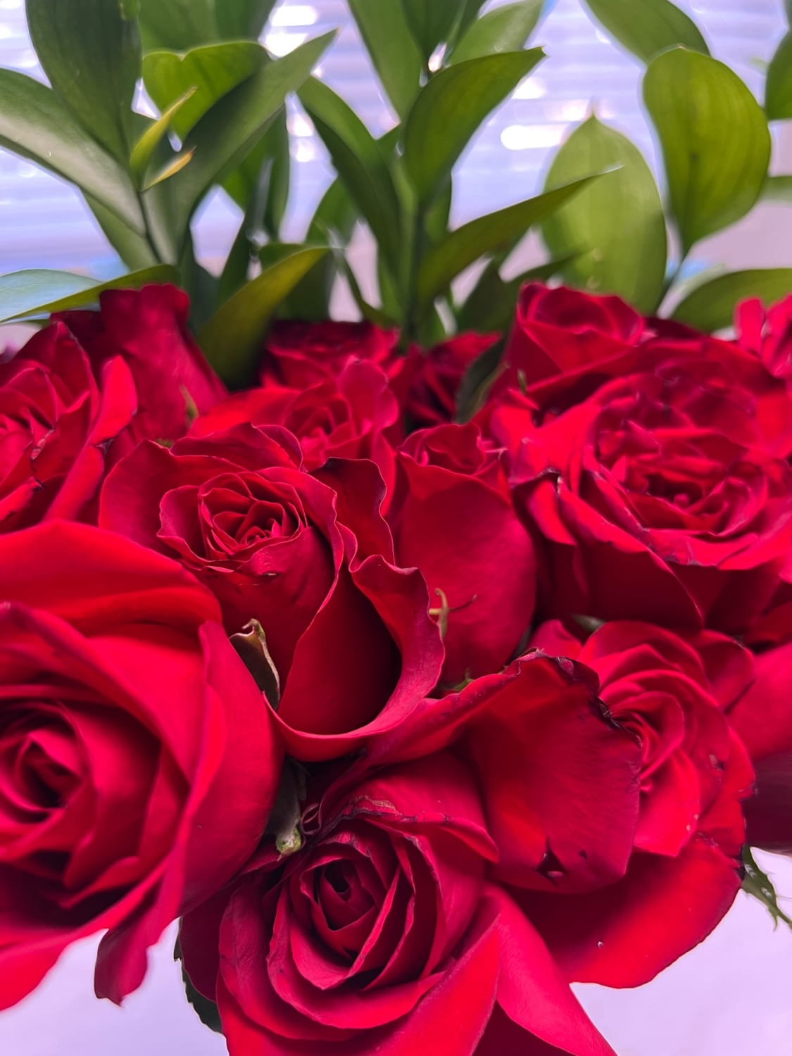 Atlanta Fulton County Stadium on Tumblr