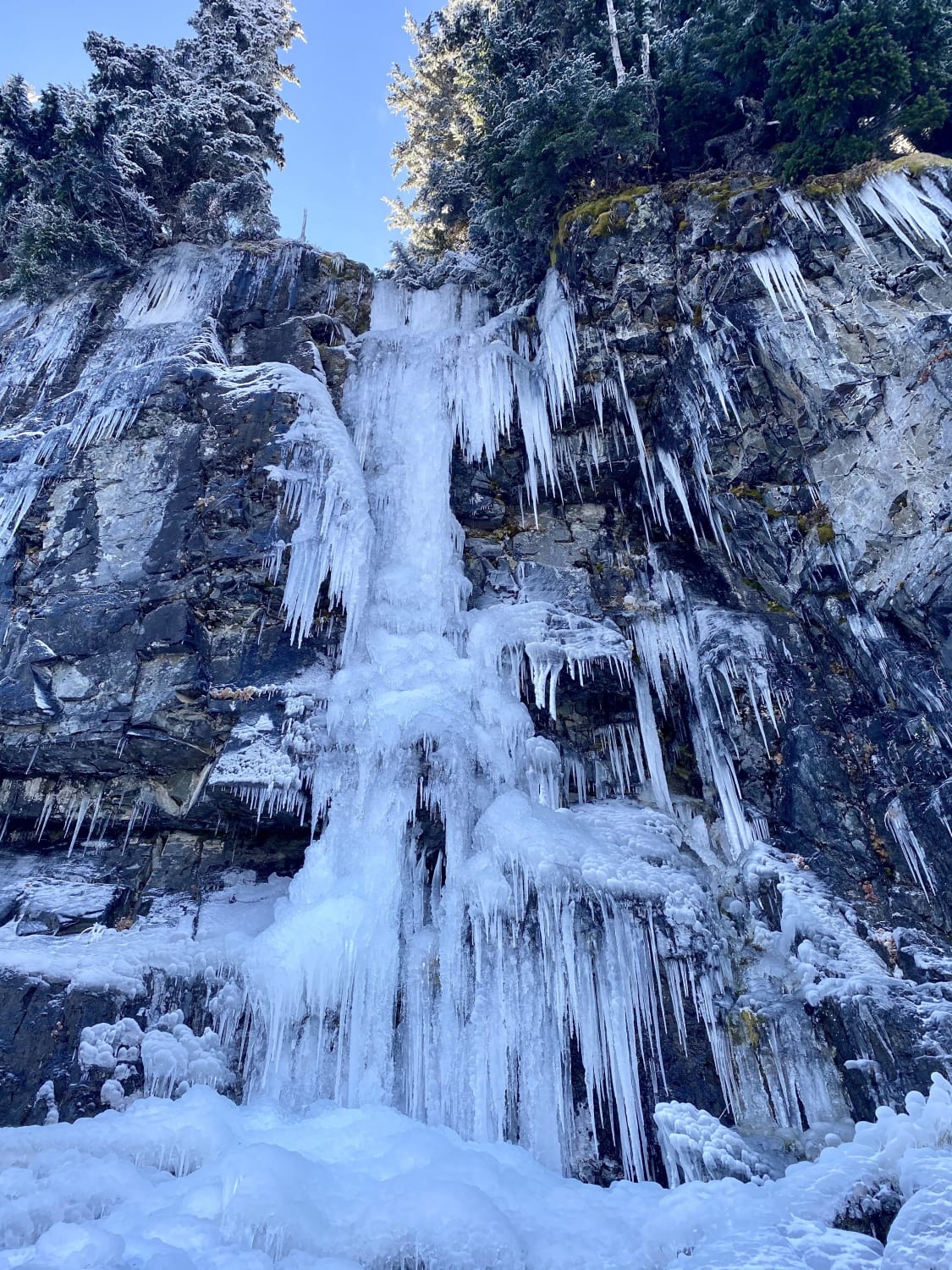 Cool icicles off of a trail on Mt. Rainier