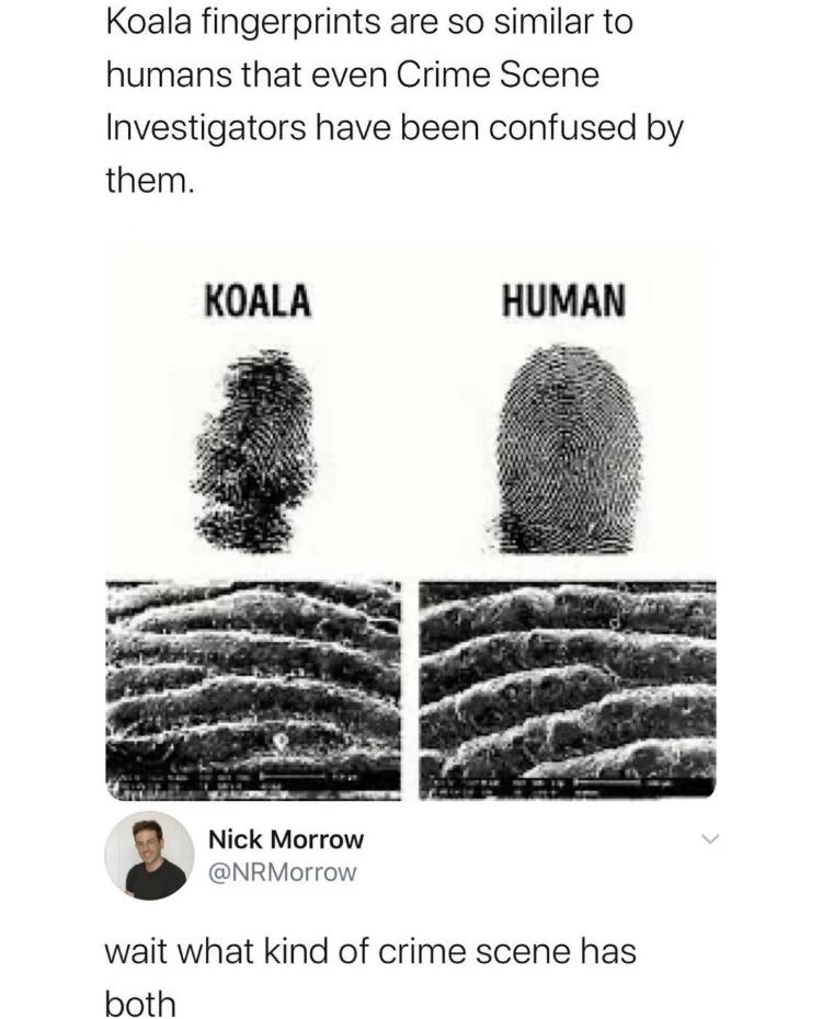Yeah...