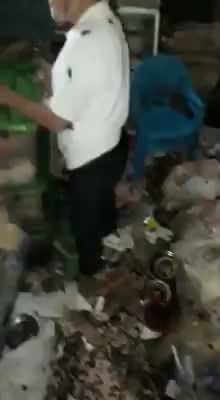 Spraying a can of RAID in completely infested home