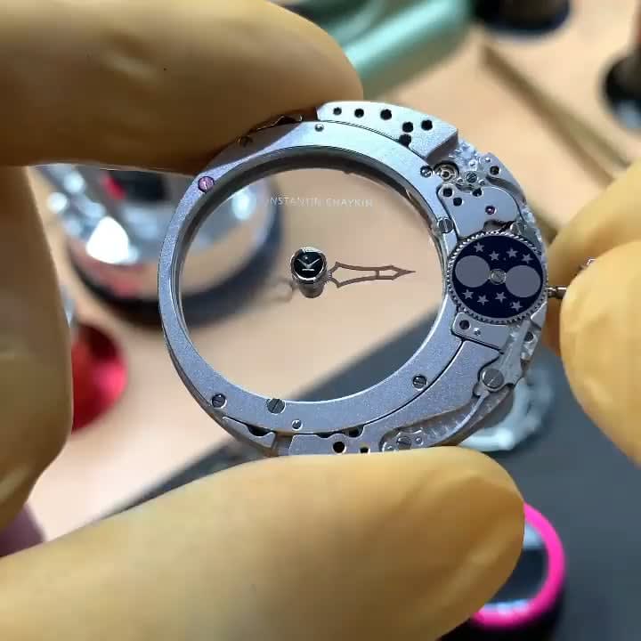 This amazing Transparent watch movement