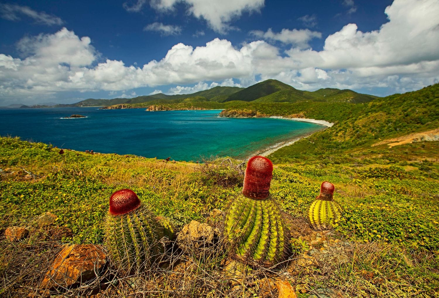 Think Spring! Ram Head Trail - Virgin Islands National Park, St. John