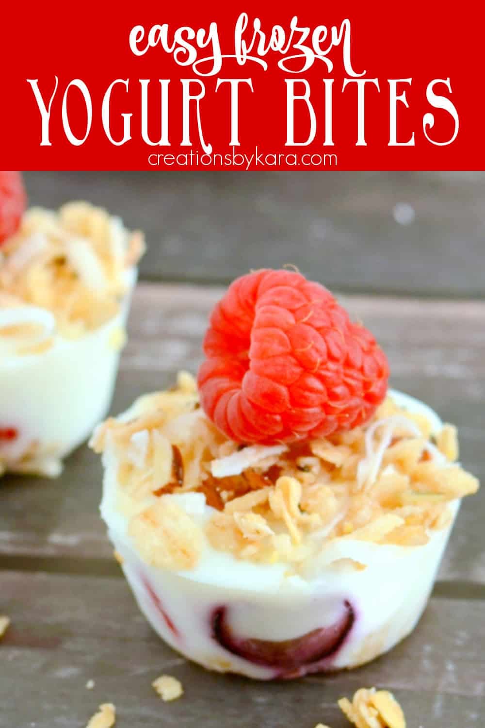 Granola Berry Frozen Yogurt Bites Recipe