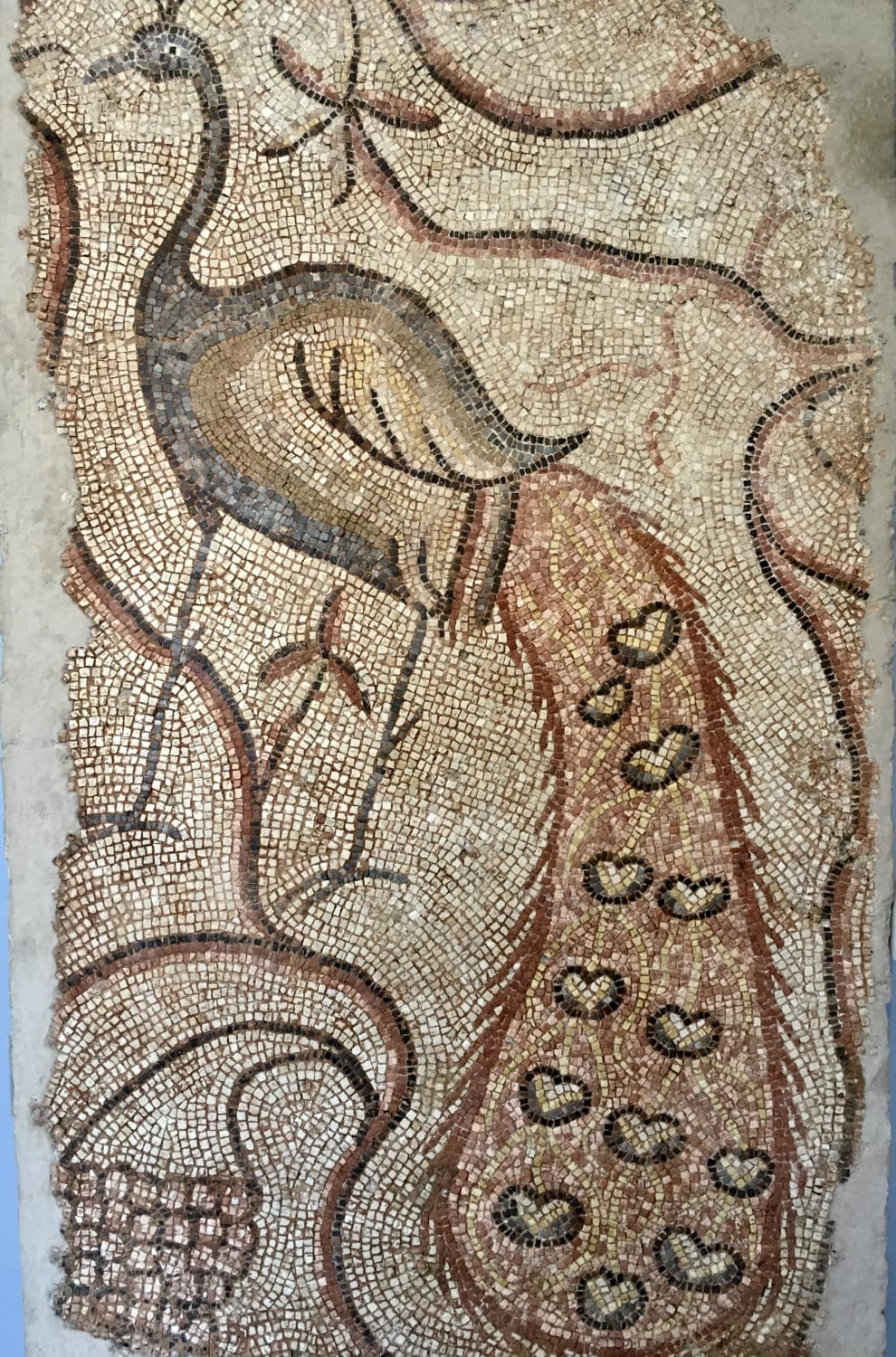 Peacock floor mosaic from an early Christian church in Byzantine Syria ...