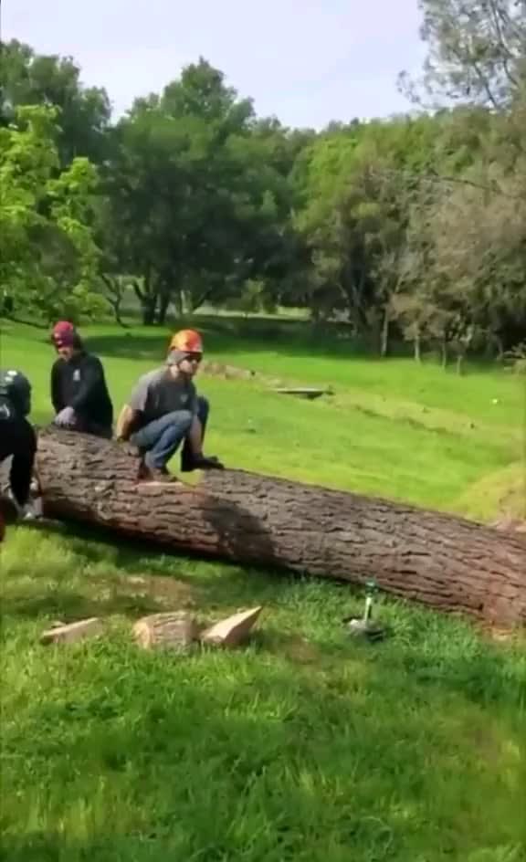 HMB while i have a catapult jump