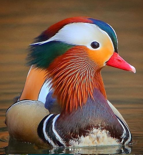 Coffee Break on Tumblr