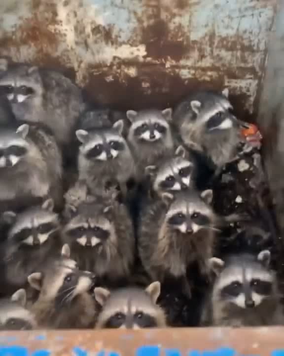 This could definitely go either way...