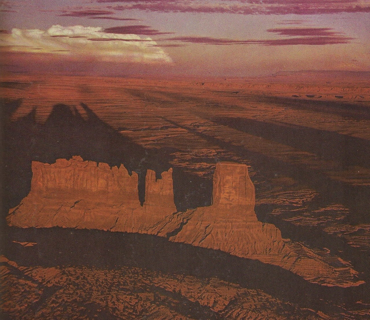 Tumble Weed Rose on Tumblr