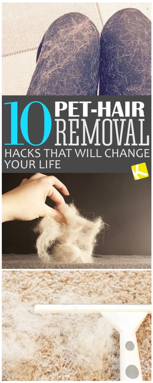13 Best DIY Pet Hair Removal Hacks