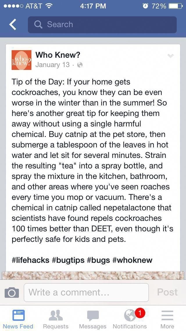 Pin by Stephanie Willingham on Recipes | Useful life hacks, Cleaning ...