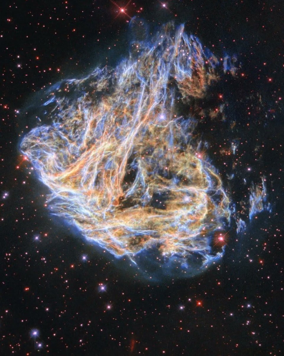 Dead star guts scribbled across space The delicate remnants, nebula DEM ...
