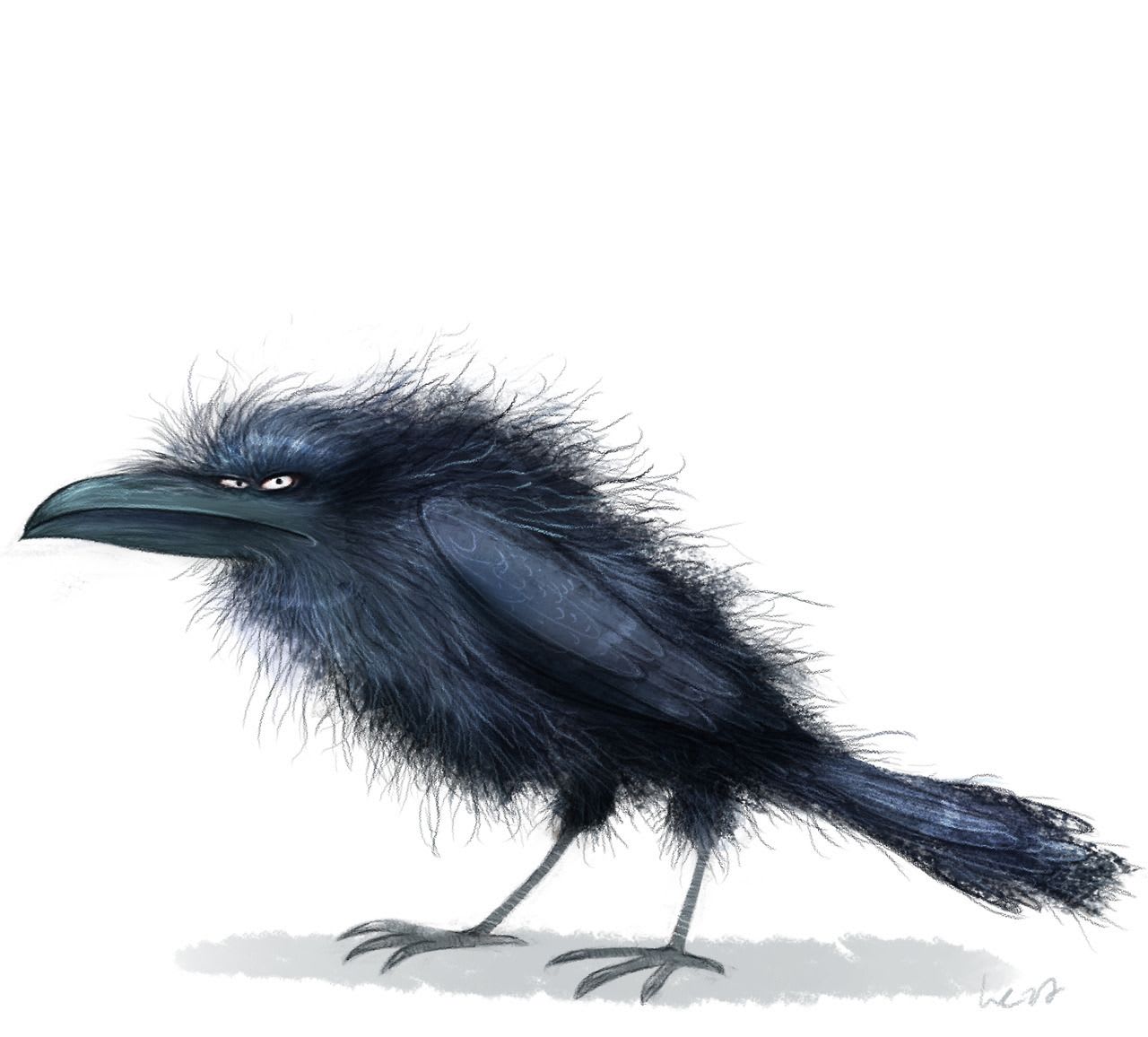 Wiebke Rauers Illustration: Photo