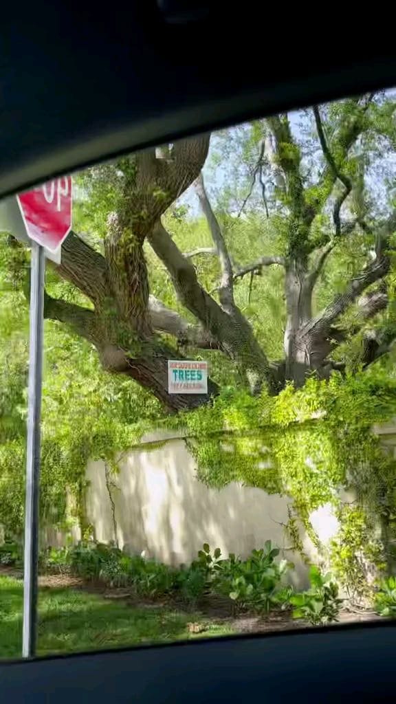 They had to put up a sign for their tree climbing dogs