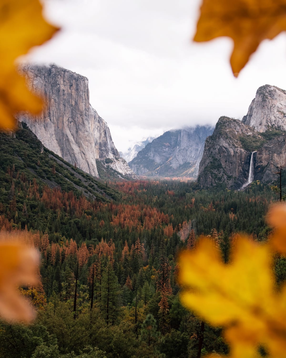 Fall colors in Yosemite
