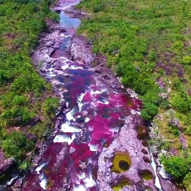 Rainbow River in Colombia is one of the prettiest rivers in the world