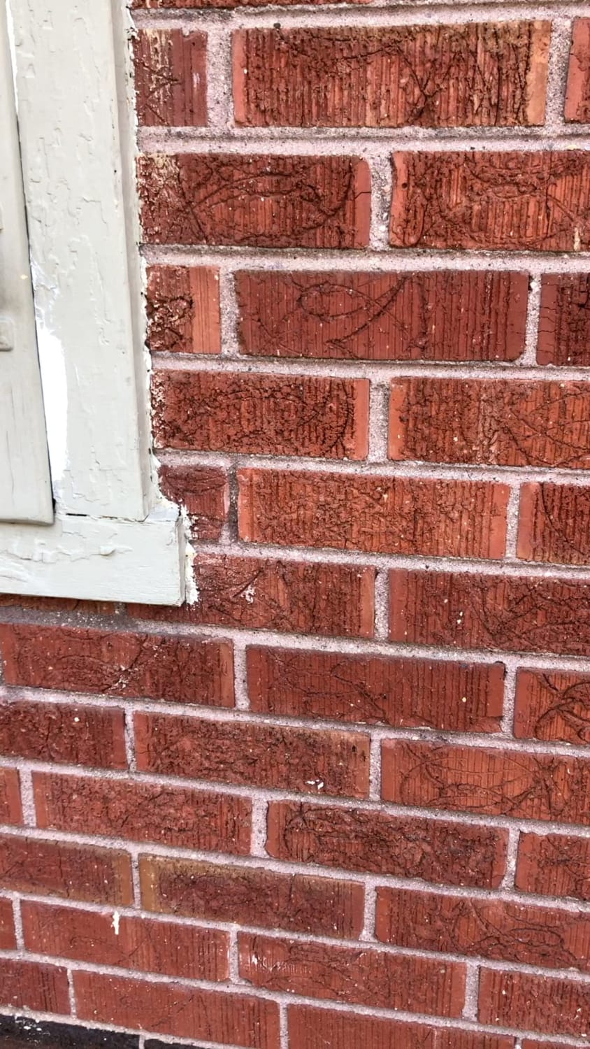 Surprise hidey hole yell