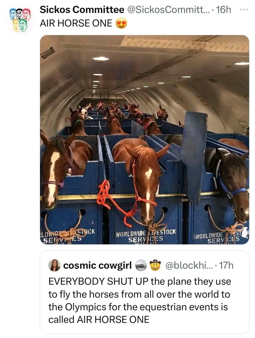 Peanut Butter Chocolate Bar Mother Hecker on Tumblr