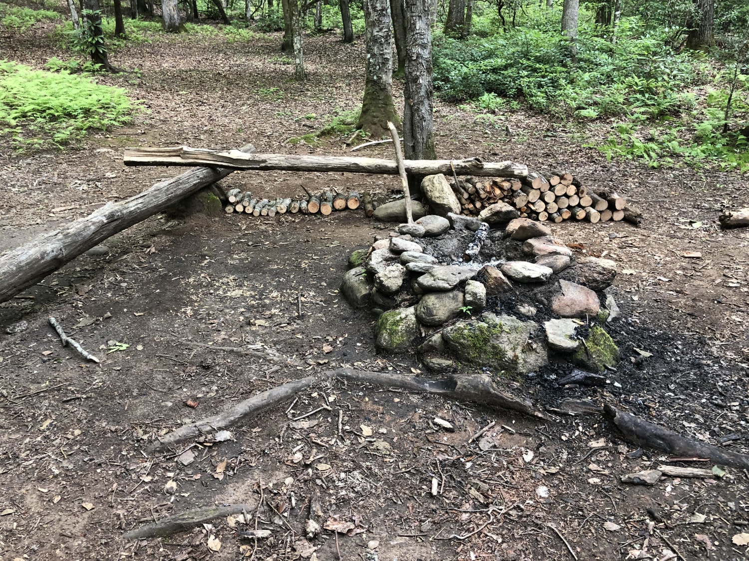 Always leave camp better than you found it! I cut and split a bunch of firewood to stop dumbos ...