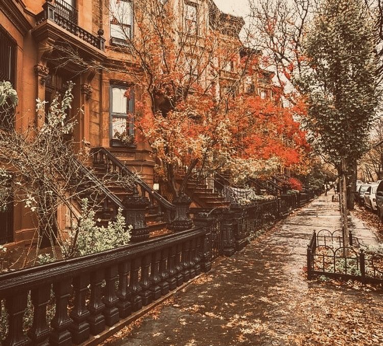 🍂☁︎·̩͙ 𝐩𝐢𝐧𝐭𝐞𝐫𝐞𝐬𝐭 | @𝐝𝐞𝐯𝐢𝐥𝐢𝐬𝐡𝐥𝐚𝐮𝐠𝐡 | Paesaggi, Luoghi meravigliosi, Bei ...