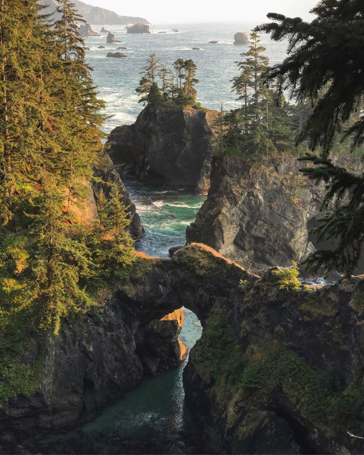 Natural bridges Brookings Oregon (Photo credit to Kyle Brumm)