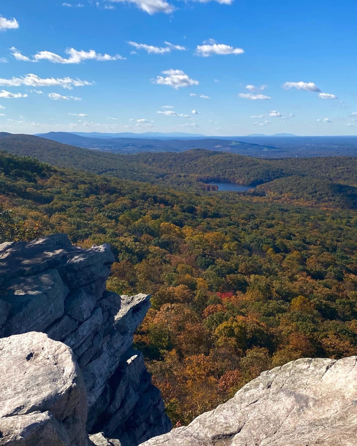 Fall foliage on the Appalachian trail (Annapolis rock, Maryland USA)